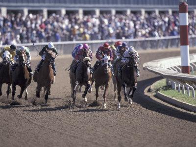 'Thoroughbred Horse Racing at Keenland track, Lexington, Kentucky, USA ...