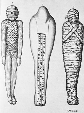 'Three Stages of Embalming' Giclee Print | AllPosters.com