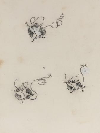 'Three Whistler Butterflies (Crayon & Chinese White on Lithographic ...
