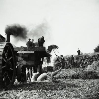 'Threshing at Prospect Farm, County Down, Ireland, 1939 (B/W Photo ...