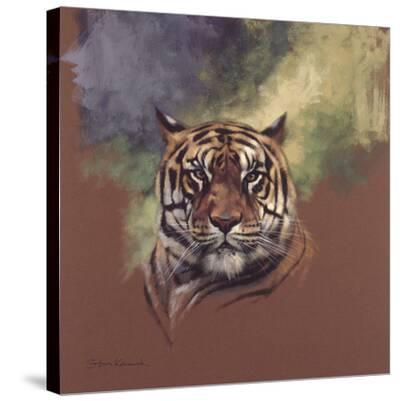 'Tiger' Stretched Canvas Print - Stan Kaminski | AllPosters.com