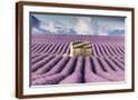 'Lavender Fields' Giclee Print - Tim Mannakee | AllPosters.com