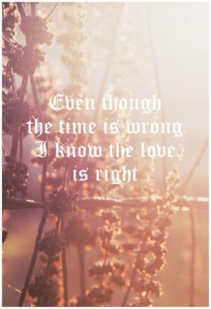 'Timing Wrong, Love Is Right' Prints | AllPosters.com