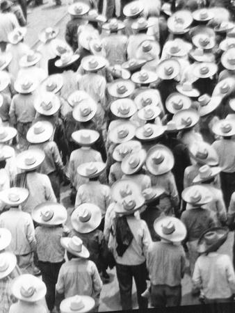 'Roses, Mexico City, 1924' Photographic Print - Tina Modotti ...