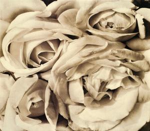 Tina Modotti Posters, Prints, Paintings & Wall Art | AllPosters.com