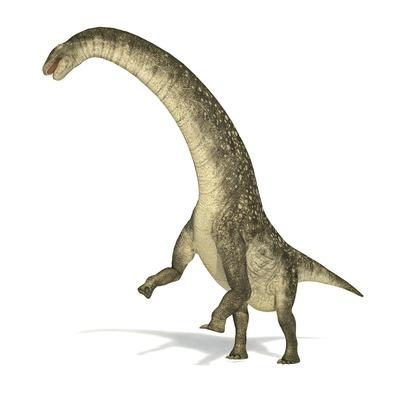 'Titanosaurus Dinosaur, Artwork' Prints | AllPosters.com
