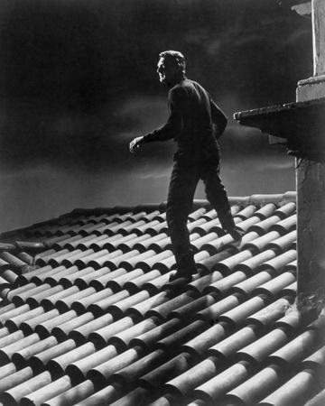 'To Catch a Thief' Photo | AllPosters.com