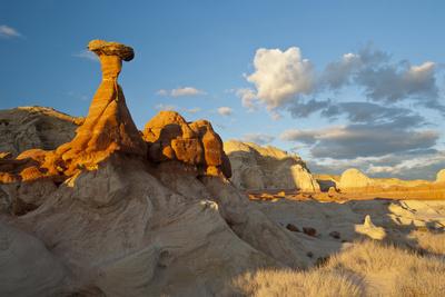 'Toadstool Near Kanab, Utah and Page Arizona. Grand Staircase-Escalante ...