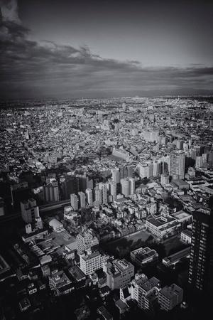 Tokyo Skyline, Japan (B/W Photo) Giclee Print | AllPosters.com
