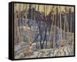 'Snow Shadows' Stretched Canvas Print - Tom Thomson | AllPosters.com