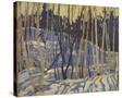 'Snow Shadows' Stretched Canvas Print - Tom Thomson | AllPosters.com