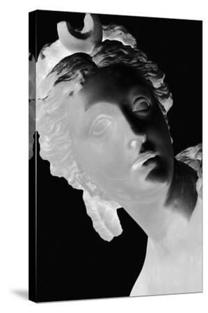 'X-ray - Louvre III' Stretched Canvas Print - Tony Koukos | AllPosters.com