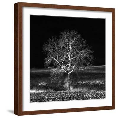 'Too Zen' Photographic Print - Philippe Sainte-Laudy | AllPosters.com