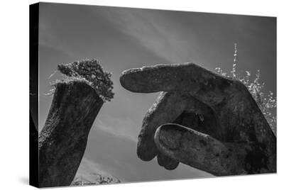 'Touch Stone' Stretched Canvas Print - Nhiem Hoang The | AllPosters.com