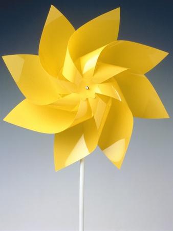 'Toy wind wheel in front of a gray background' Photographic Print ...