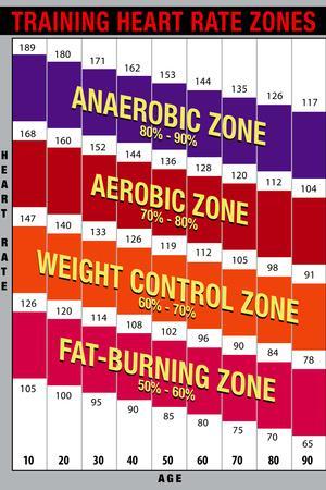 'Training Heart Rate Zones Chart (Bright)' Prints | AllPosters.com