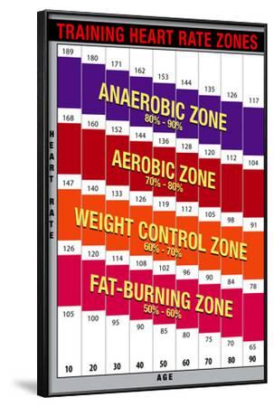 'Training Heart Rate Zones Chart (Bright)' Prints | AllPosters.com