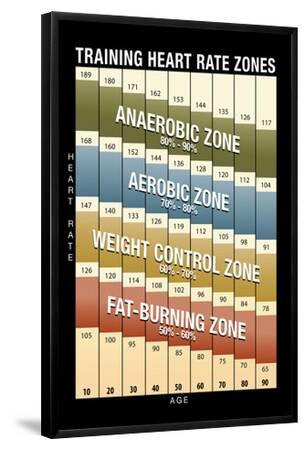'Training Heart Rate Zones Chart (Modern)' Posters | AllPosters.com