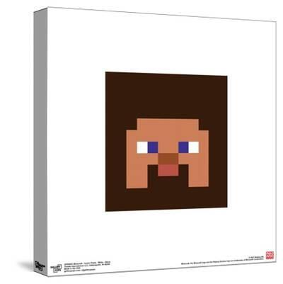 'Gallery Pops Minecraft: Iconic Pixels - Mobs - Steve Wall Art ...