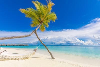 Tropical beach background as summer landscape. Perfect beach scene ...