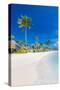 'Tropical beach vertical panoramic banner. Amazing summer landscape ...