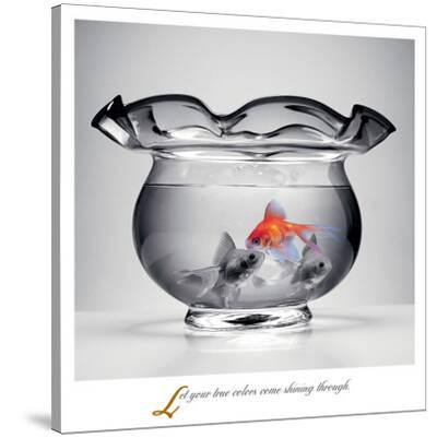 'True Colours' Stretched Canvas Print | AllPosters.com