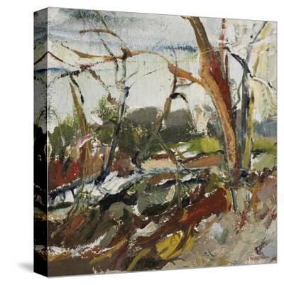 'Duncton Wood Winter' Stretched Canvas Print - Tuema Pattie ...