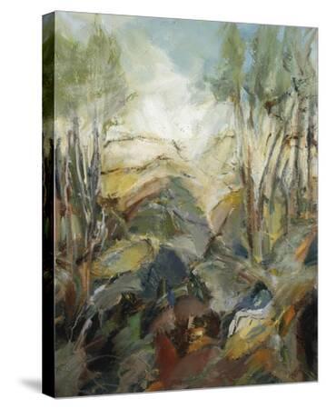 'Lavington Common' Stretched Canvas Print - Tuema Pattie | AllPosters.com