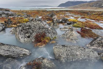 'Tundra near glacier Eqip (Eqip Sermia) in western Greenland, Denmark ...