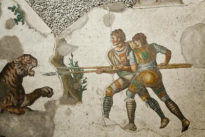 'Turkey, Istanbul, Great Palace Mosaic Museum, Roman Mosaic, Tiger Hunt ...