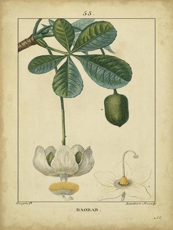Vintage Turpin Botanical II Prints - Turpin | AllPosters.com