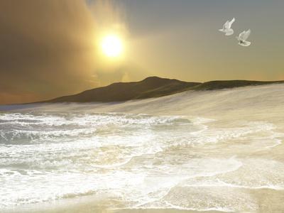 'Two White Doves Fly Over Waves Coming To Shore On a Remote Beach ...