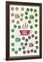 'Types of Tea' Posters | AllPosters.com