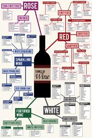'Types of Wine Chart' Posters | AllPosters.com