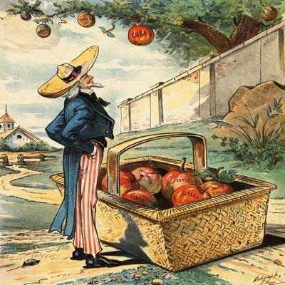 'Uncle Sam Standing beside Basket of Apples' Photographic Print ...