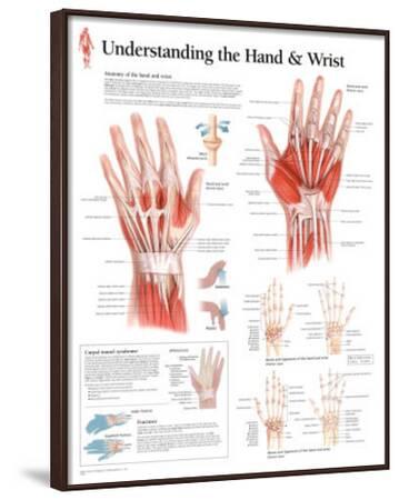'Understanding the Hand and Wrist Educational Chart Poster' Poster ...