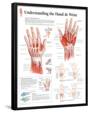 'Understanding the Hand and Wrist Educational Chart Poster' Poster ...