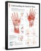 'Understanding the Hand and Wrist Educational Chart Poster' Poster ...