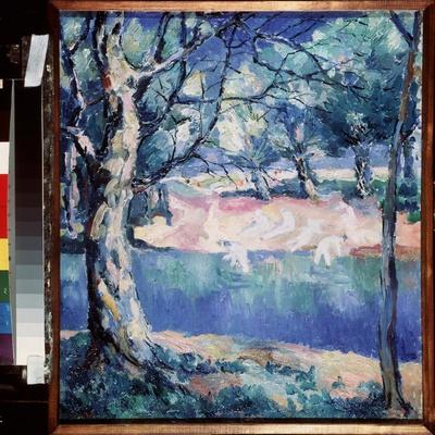 'Une Riviere En Foret (A River in Forest). En Plein Ete, Avec Sur La ...