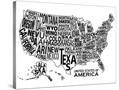 'United States of America Stylized Text Map' Posters | AllPosters.com