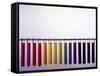 'Universal Indicator Scale' Photographic Print - Andrew Lambert ...