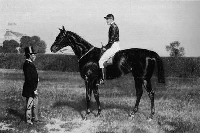 ''Ormonde', 1883-1904, (1911)' Giclee Print - Unknown | AllPosters.com