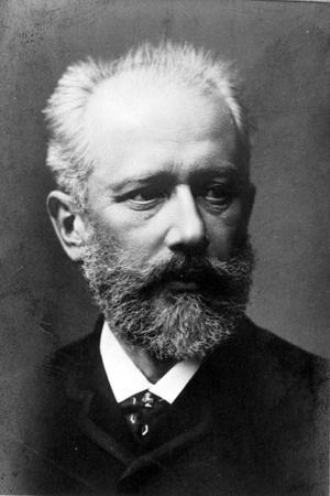 Piotr or Petr Ilyich Tchaikovsky (1840 - 1893), Russian Composer. 19Th ...