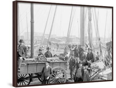 'Unloading Oyster Luggers, Baltimore, Md.' Photo | AllPosters.com