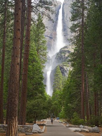 'Upper and Lower Yosemite Falls. Yosemite National Park, CA ...