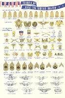 'US Army Rank and Service Insignia' Posters | AllPosters.com