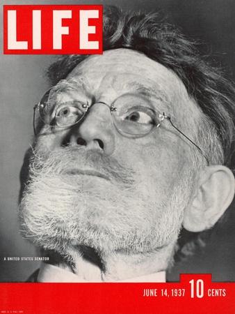 'US Senator James Hamilton Lewis, June 14, 1937' Photographic Print ...