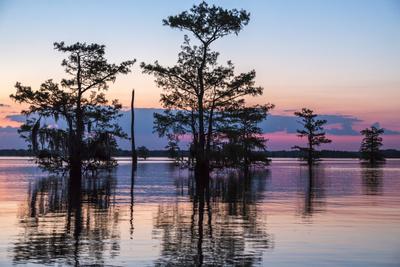 Usa Louisiana Atchafalaya National Wildlife Refuge Sunrise On Swamp