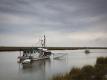 'USA, Louisiana, Dulac, Bayou Fishing Boat by Lake Boudreaux ...