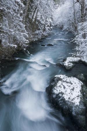 'USA; Washington; Olympic National Park. View of the Hamma Hamma River ...